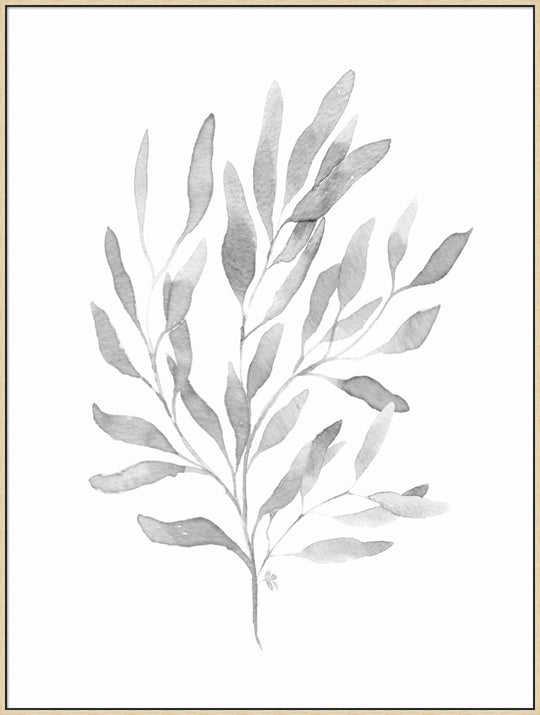 Native 2' Canvas in Timber Frame by Style My Home - Style Sourcebook