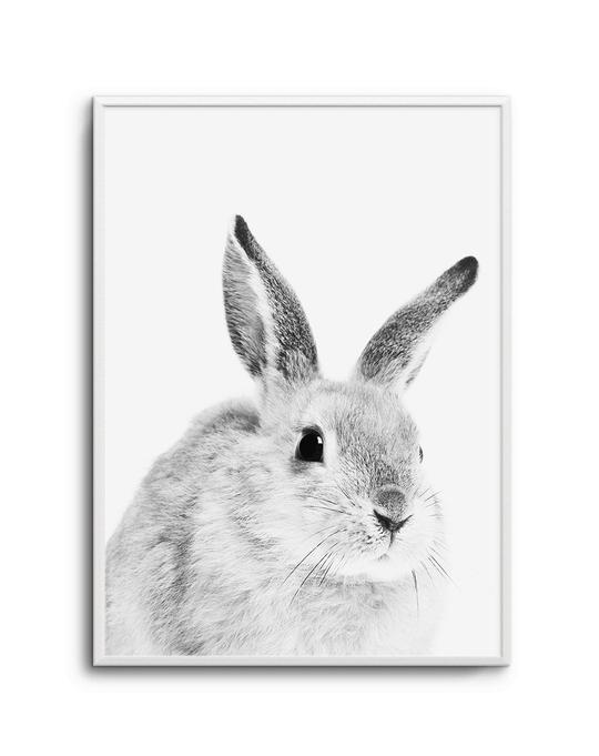 Bunny | B&W by oliveetoriel.com - Style Sourcebook