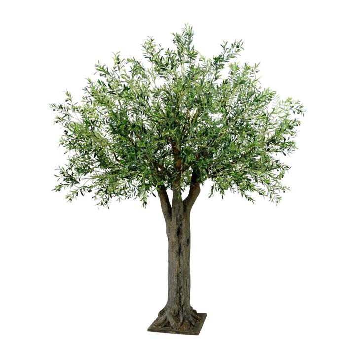 Exotica Giant Artificial Olive Tree, 250cm by Florabelle - Style Sourcebook