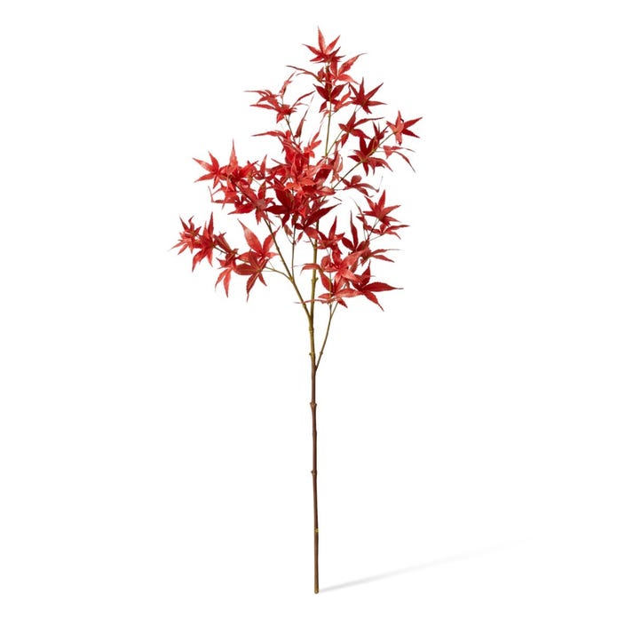 Maple Japanese Spray - 40 x 40 x 95cm by Elme Living - Style Sourcebook