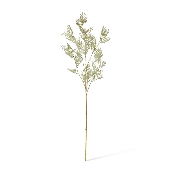 Wattle Leaf Spray - 35 x 15 x 92cm by Elme Living - Style Sourcebook