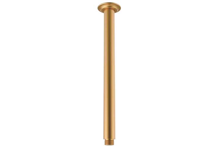 Eternal Shower Dropper 300mm Brushed Brass by ADP - Style Sourcebook
