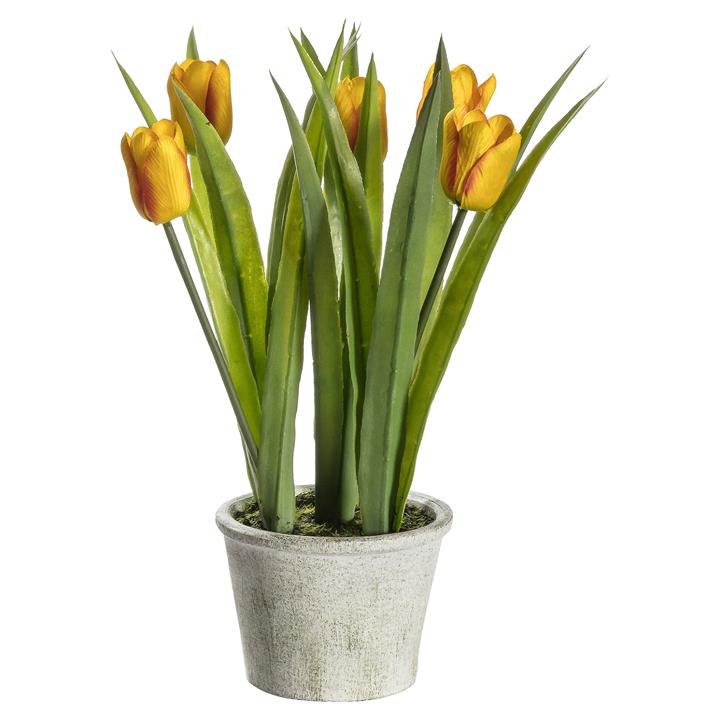 Farcath Potted Artificial Tulip, Golden Yellow Flower by Casa Bella ...