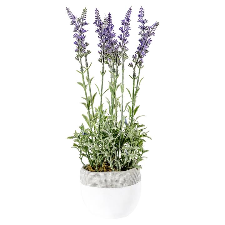 Stanhoe Potted Artificial Lavender by Casa Bella - Style Sourcebook