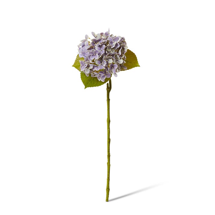 Hydrangea Garden Stem (Fresh Touch) - 26 x 20 x 61cm by null - Style ...