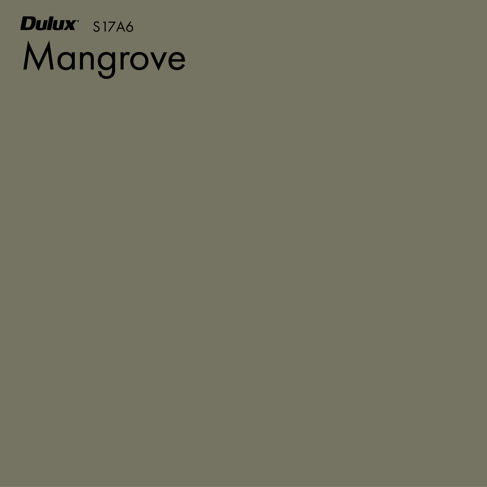 Mangrove by Dulux - Style Sourcebook