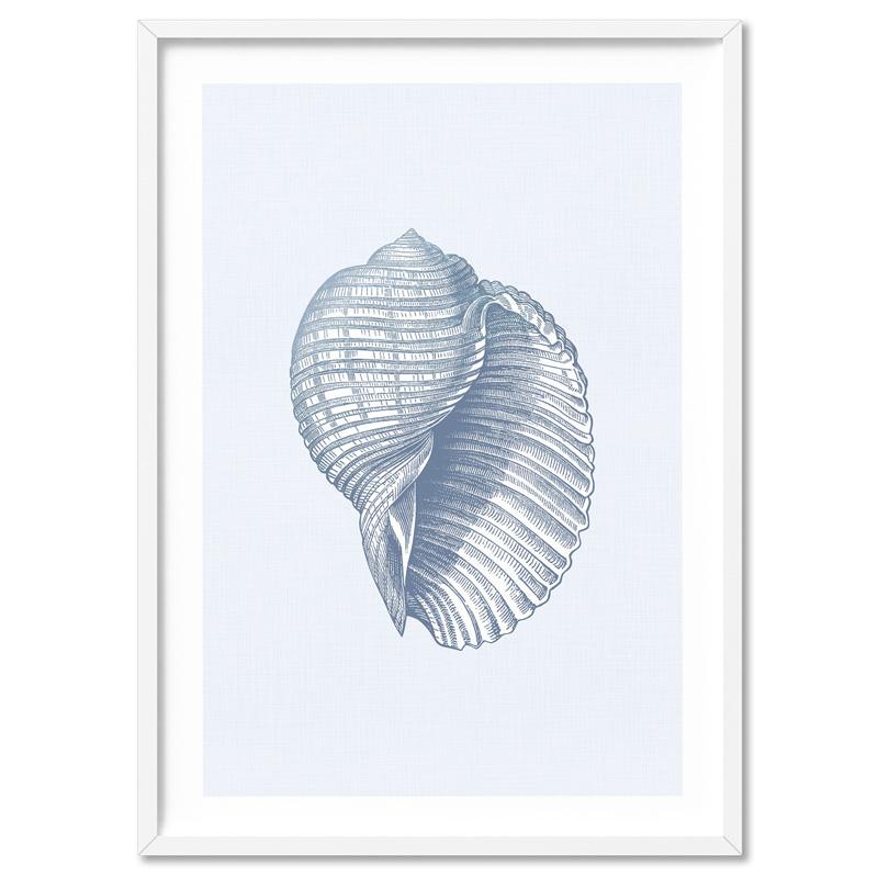 Sea Shells in Blue | Scotch Bonnet - Art Print by Print and Proper ...