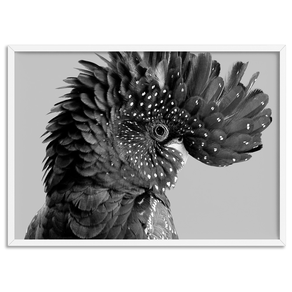 Black Cockatoo Pose Landscape, in Black & White - Art Print by Print ...