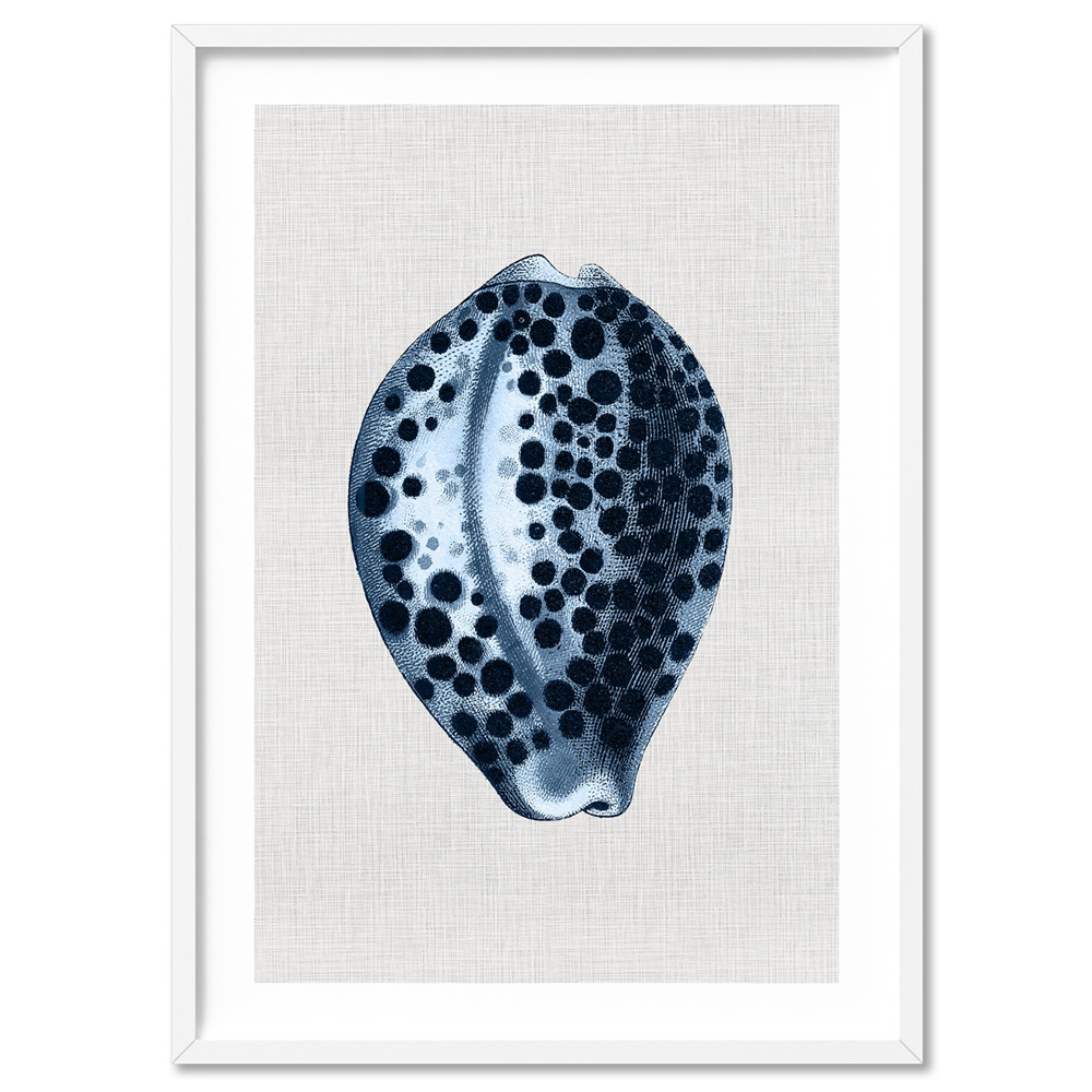 Sea Shells in Navy | Paua Shell - Art Print by Print and Proper - Style ...