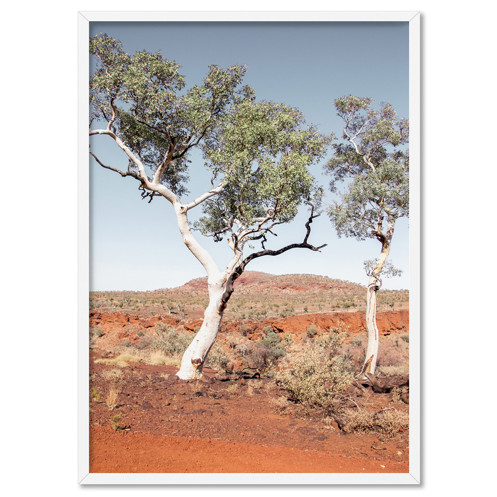 Gumtree Outback View III - Art Print by Print and Proper - Style Sourcebook