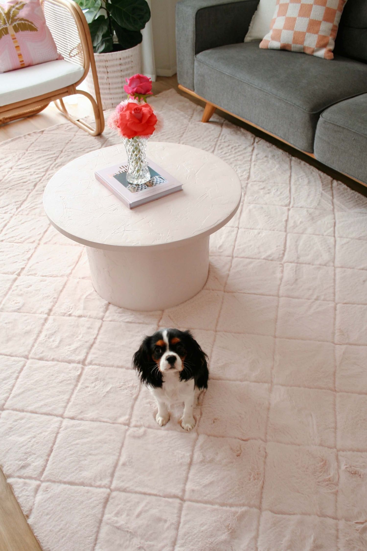 Your Guide to Rugs that Suit Your Lifestyle with Miss Amara - Style ...